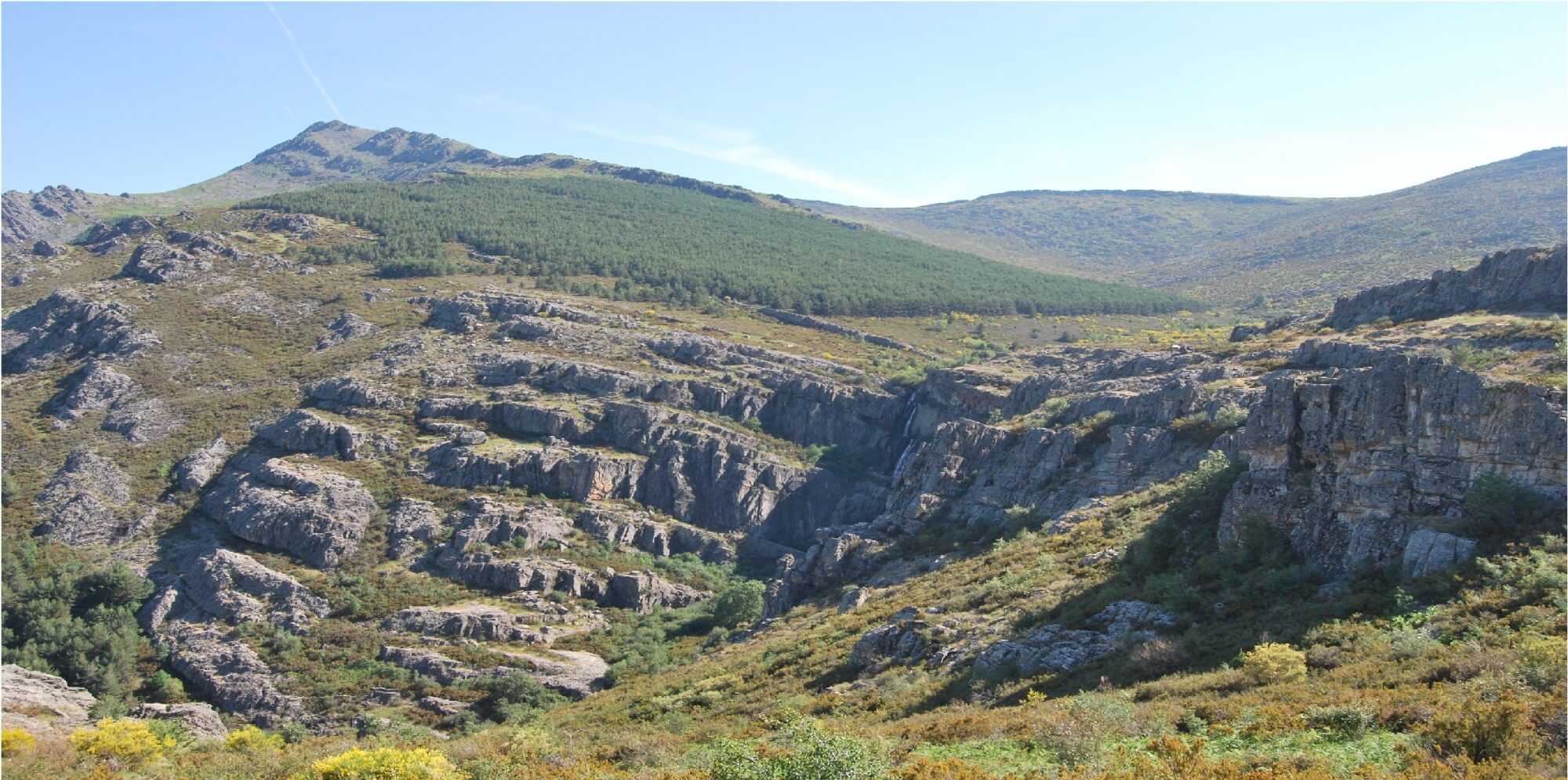 Pueblos Negros - La Casa de los Gatos